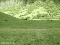 Turnaround GIFs - Get the best gif on GIFER