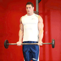 Biceps GIFs - Get the best gif on GIFER