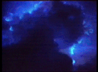 Neon lights tour GIFs - Get the best gif on GIFER