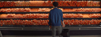 Intermarche GIFs - Get the best gif on GIFER