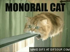 Monrail GIFs - Get the best gif on GIFER