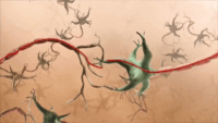 Neuroscience GIFs - Get the best gif on GIFER