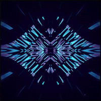 Symmetrical GIFs - Get the best gif on GIFER