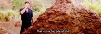 Pile GIFs - Get the best gif on GIFER