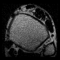 Mrt GIFs - Get the best gif on GIFER