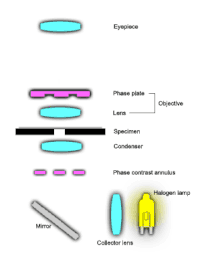 Microscopes GIFs - Get the best gif on GIFER
