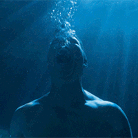 Busbus GIF - Conseguir o melhor gif em GIFER