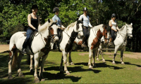 Riding GIFs - Get the best gif on GIFER