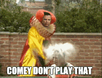Comey GIFs - Get the best gif on GIFER