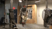 Strut GIFs - Get the best gif on GIFER