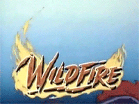 Wildfire GIFs - Get the best gif on GIFER