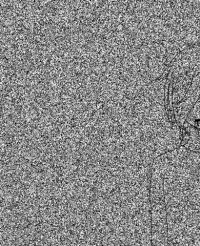 Chaotic GIFs - Get the best gif on GIFER