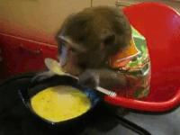 Soup GIFs - Get the best gif on GIFER