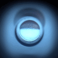 Lentes GIFs - Get the best gif on GIFER