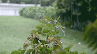 Automne GIFs - Obtenez le meilleur gif sur GIFER