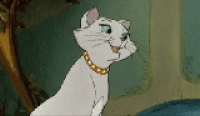 Duchess GIFs - Get the best gif on GIFER