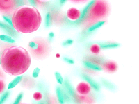 4k GIFs - Obtenez le meilleur gif sur GIFER