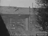 Fcm GIFs - Get the best gif on GIFER