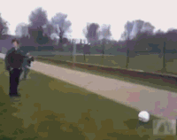 Stabilize GIFs - Get the best gif on GIFER