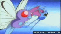 Butterfree GIFs - Get the best gif on GIFER