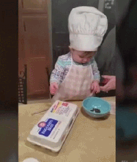 Chefs GIFs - Get the best gif on GIFER