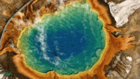 Yellowstone GIFs - Get the best gif on GIFER