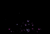 Butterfly GIFs - Get the best gif on GIFER