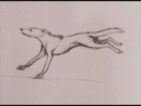 Werewolf transformation GIFs - Get the best gif on GIFER