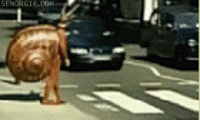 Snail GIFs - Get the best gif on GIFER