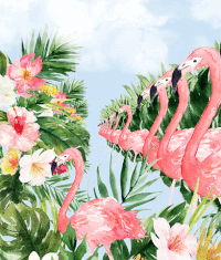 Flamingo GIFs - Get the best gif on GIFER