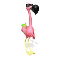 Flamingo GIFs - Get the best gif on GIFER