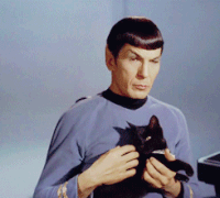 Rebirth GIFs - Get the best gif on GIFER