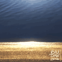 Blinds GIFs - Get the best gif on GIFER