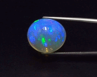 Opal GIFs - Get the best gif on GIFER