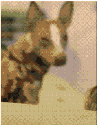 Annoying GIFs - Get the best gif on GIFER