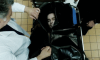 Collared GIFs - Get the best gif on GIFER