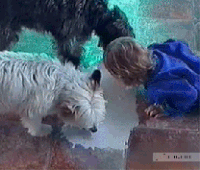 Malk GIFs - Get the best gif on GIFER