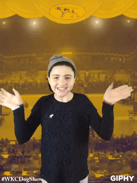 Exposition GIFs - Get the best gif on GIFER