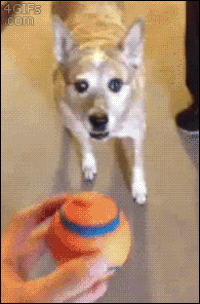 Slippery floor GIF - Conseguir o melhor gif em GIFER
