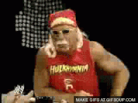 Hogan GIFs - Get the best gif on GIFER