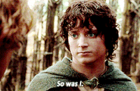 Frodo GIFs - Get the best gif on GIFER