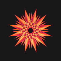 Poly GIFs - Get the best gif on GIFER