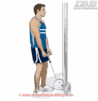 Biceps GIFs - Get the best gif on GIFER