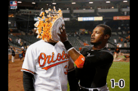 Undefeated GIFs - Get the best gif on GIFER