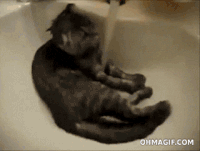 Basins GIFs - Get the best gif on GIFER