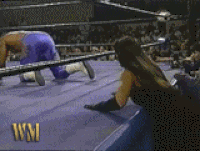 Handle GIFs - Get the best gif on GIFER