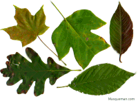 Blatter GIFs - Get the best gif on GIFER