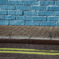 Nihilism GIFs - Get the best gif on GIFER