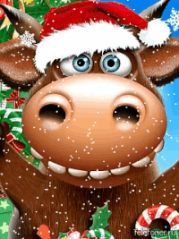 Humour GIFs - Get the best gif on GIFER