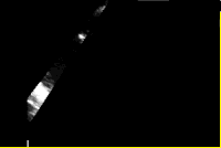 Ultrasound GIFs - Get the best gif on GIFER